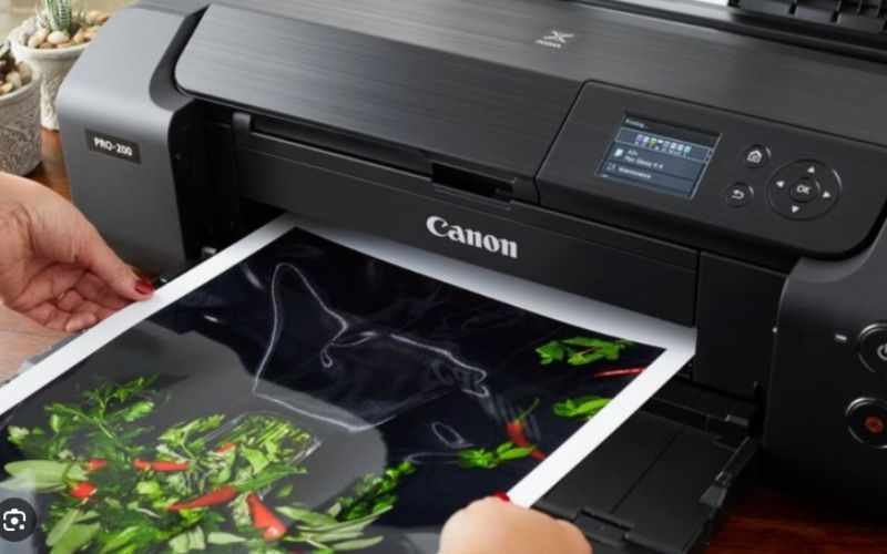 Why Is My Canon Printer Offline? (How to Get It Online)